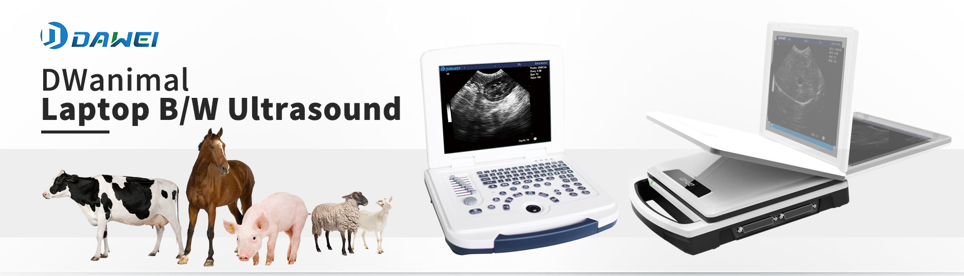 Veterinary Laptop B/W Ultrasound – Dawei Vet Med