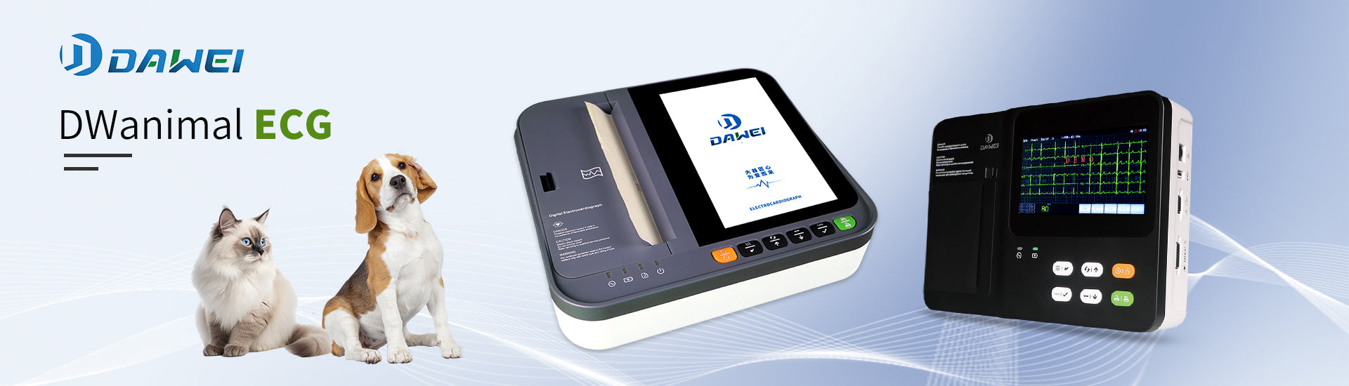 Veterinary Electrocardiogram(EKG/ECG) – Dawei Vet Med