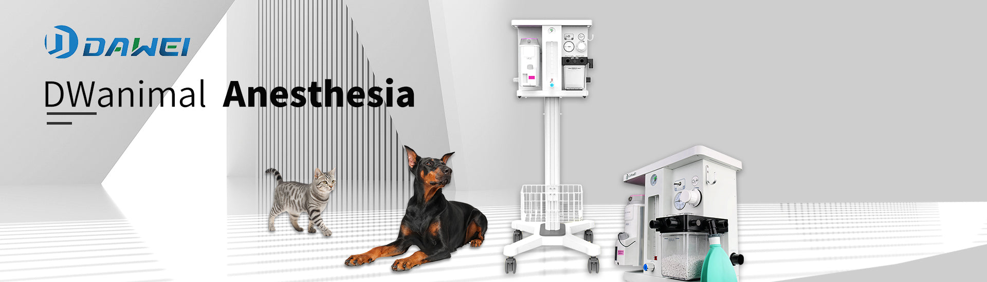 Veterinary Anesthesia – Dawei Vet Med