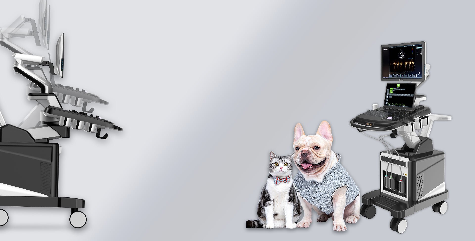Dawei Veterinary Ultrasound Machine – Dawei Vet Med