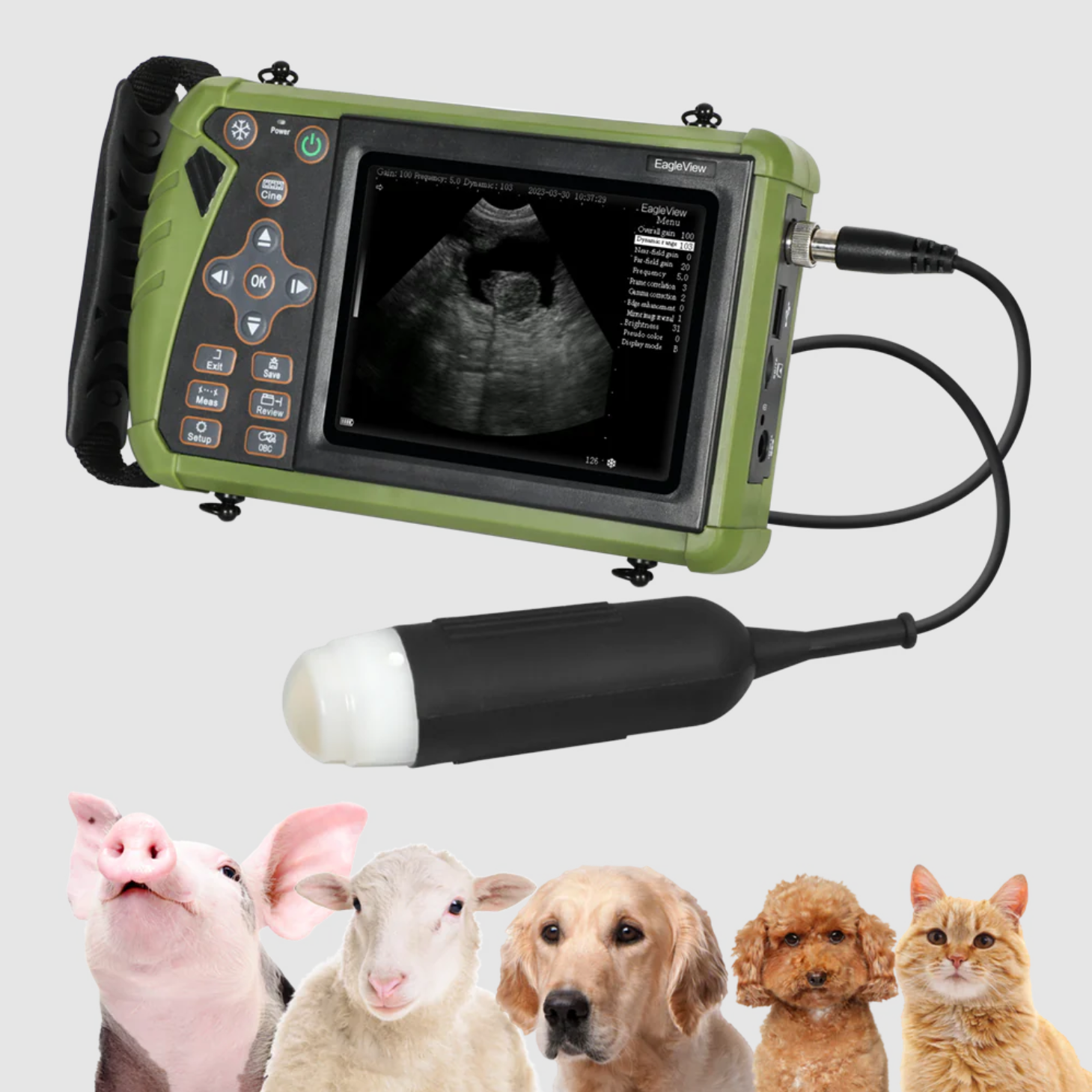 DWanimal | Veterinary Ultrasound Machine, Supplies and Services