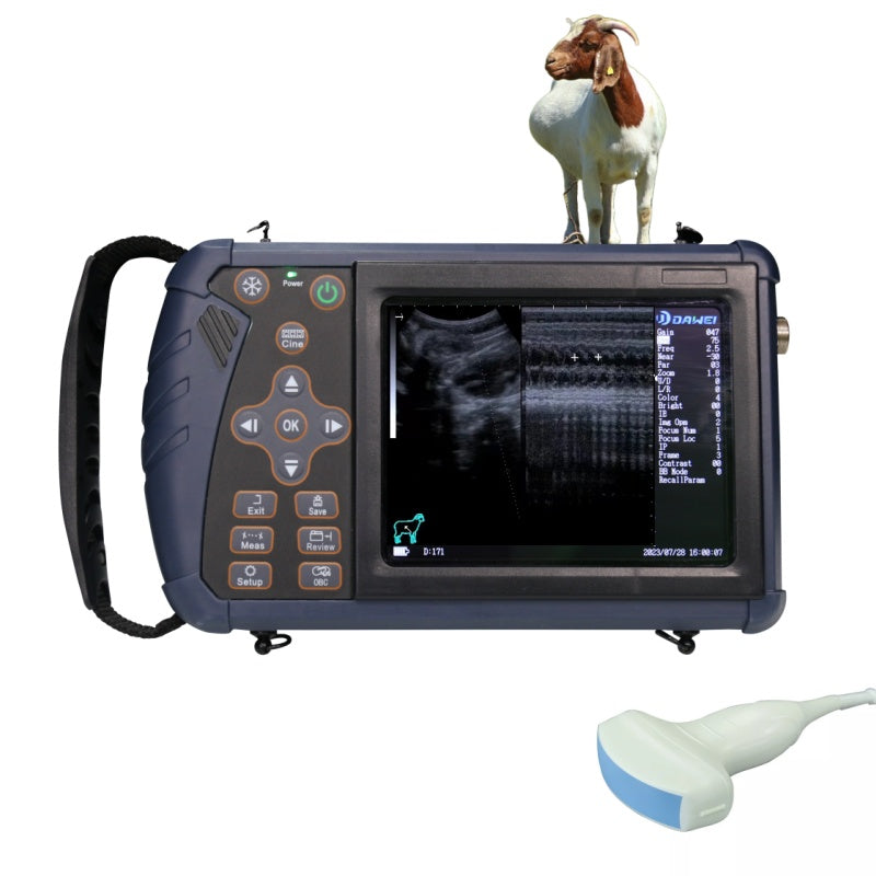 Dawei Best Goat Ultrasound Machine S1 with 3.5MHz Convex Probe – Dawei ...
